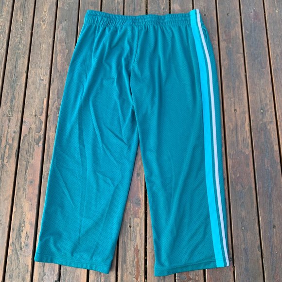 Danskin Now | Pants & Jumpsuits | Danskin Now Xxl Short Teal Elastic ...